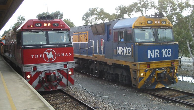 Photos of Pacific National Locomotives
